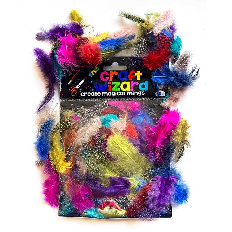 Deluxe Coloured Speckled Feathers Value Pack – Littlethink kits